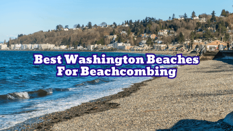 8 Best Washington Beaches For Beachcombing