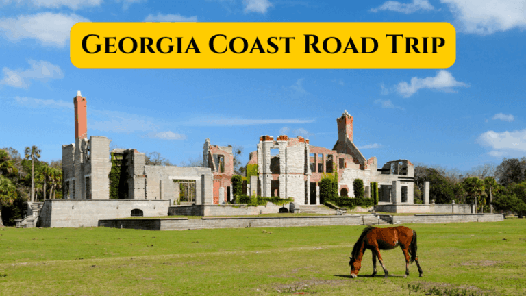 You Won’t Believe This Dreamy Coastal Road Trip In Georgia