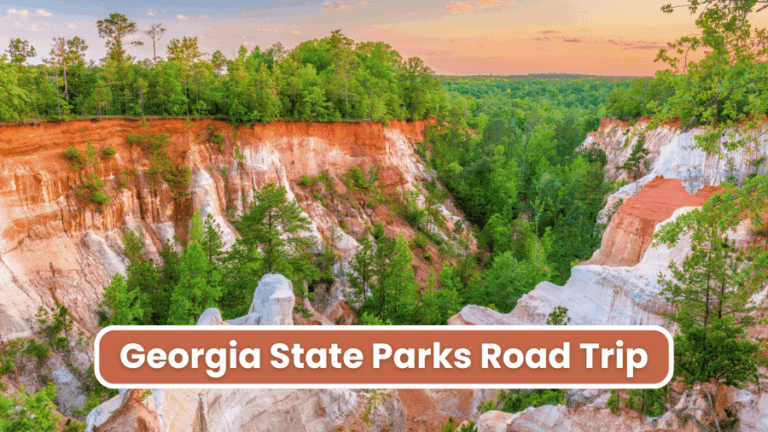 The Ultimate Georgia State Parks Road Trip