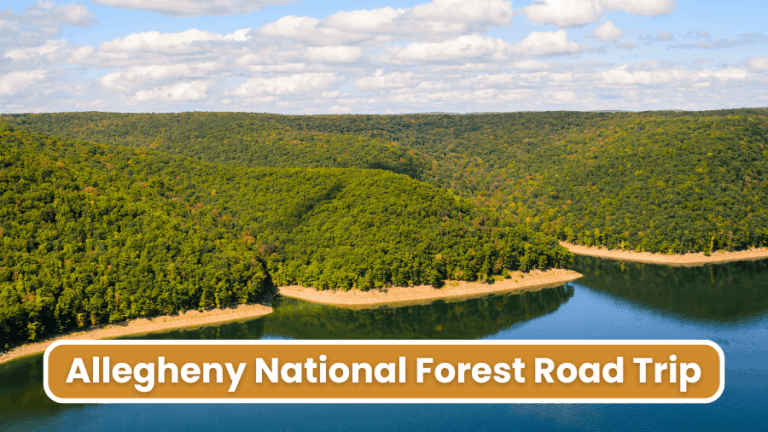 The Perfect Allegheny National Forest Road Trip