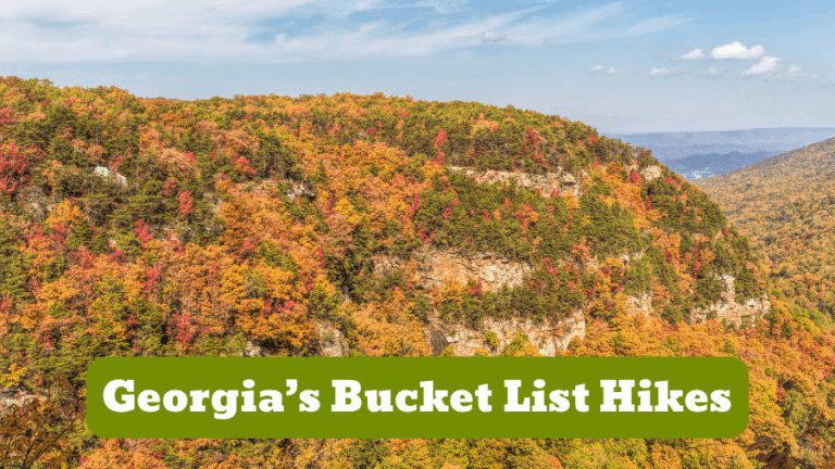 12 Best Hikes In Georgia That You HAVE To Do At Least Once