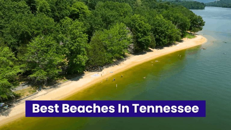You Won’t Believe These Beaches Are Actually in Tennessee