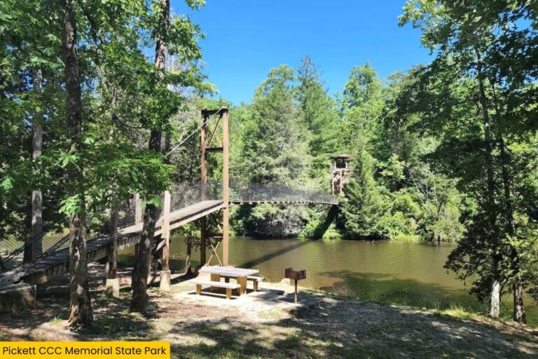Revealing The 12 Best State Parks For Camping In Tennessee