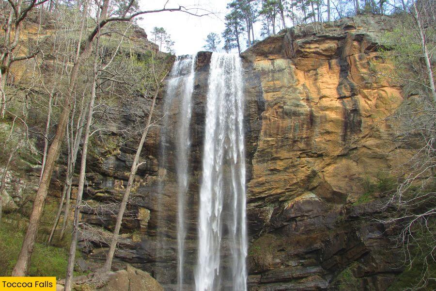 This Ultimate Georgia Waterfalls & Wineries Road Trip Is Pure Bucket ...