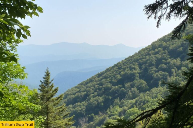 10 Best Hiking Trails In Tennessee You HAVE To Do At Least Once
