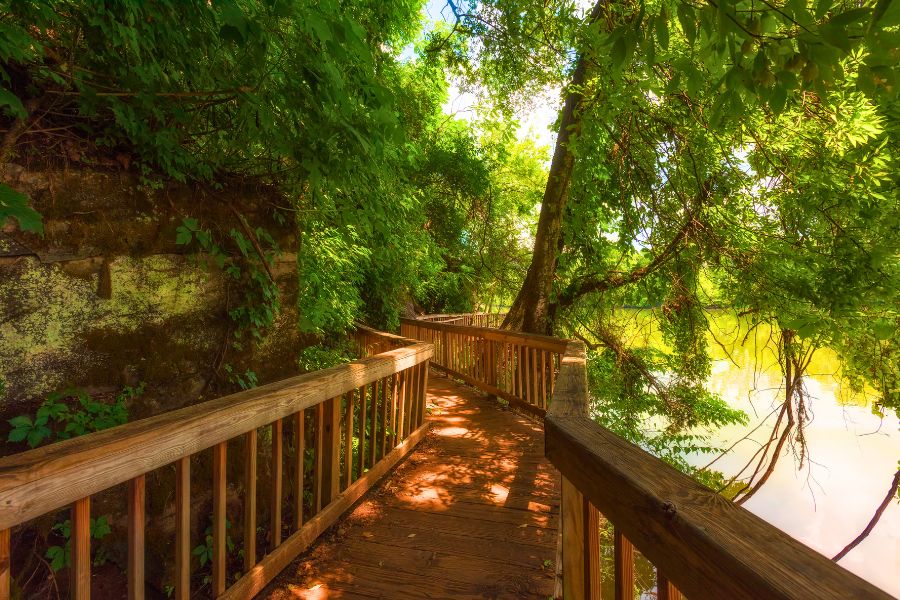 The Ultimate Tennessee Treetop Canopy & Boardwalks Road Trip