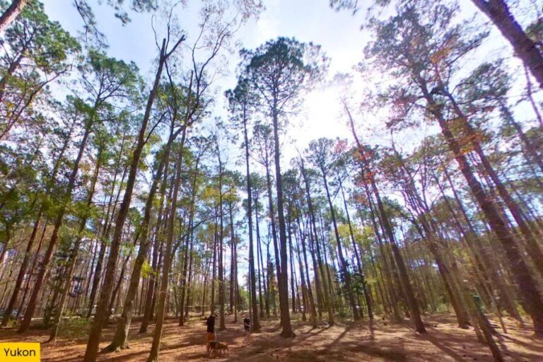 Visit These 9 Creepy Ghost Towns In Florida At Your Own Risk