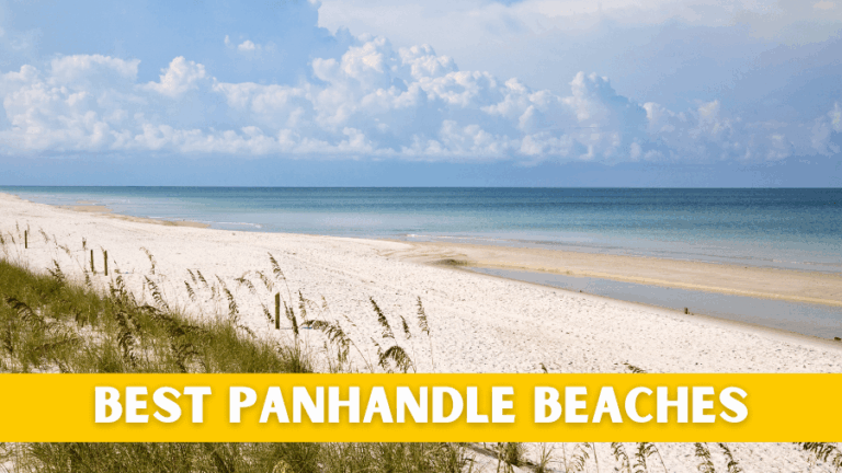 The 11 Best Florida Panhandle Beaches That Are Too Beautiful To Ignore