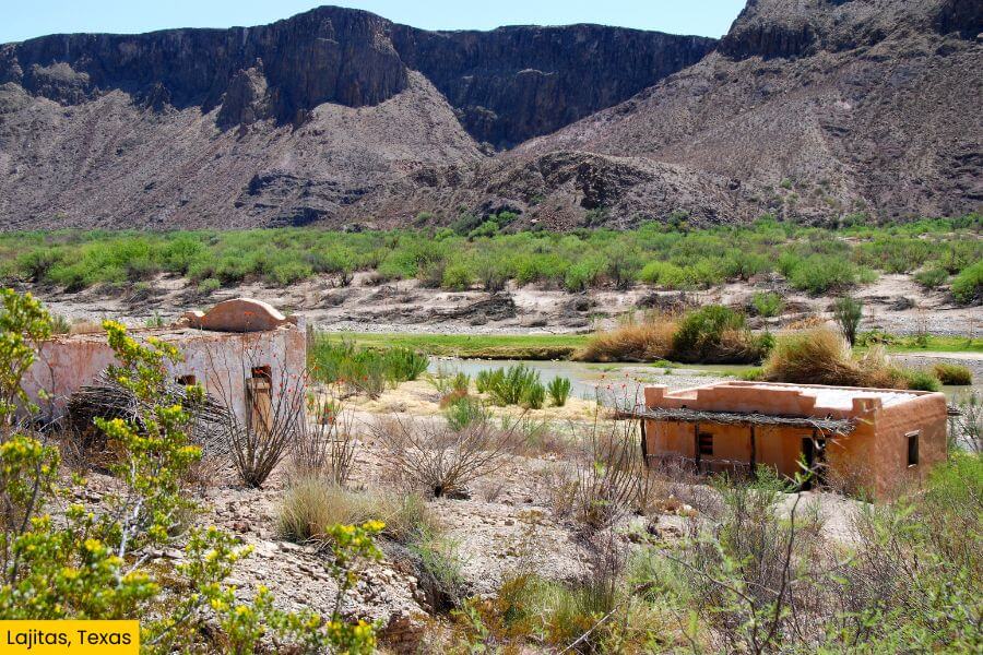 This Texas Town Has A Beer-Drinking Goat For A Mayor