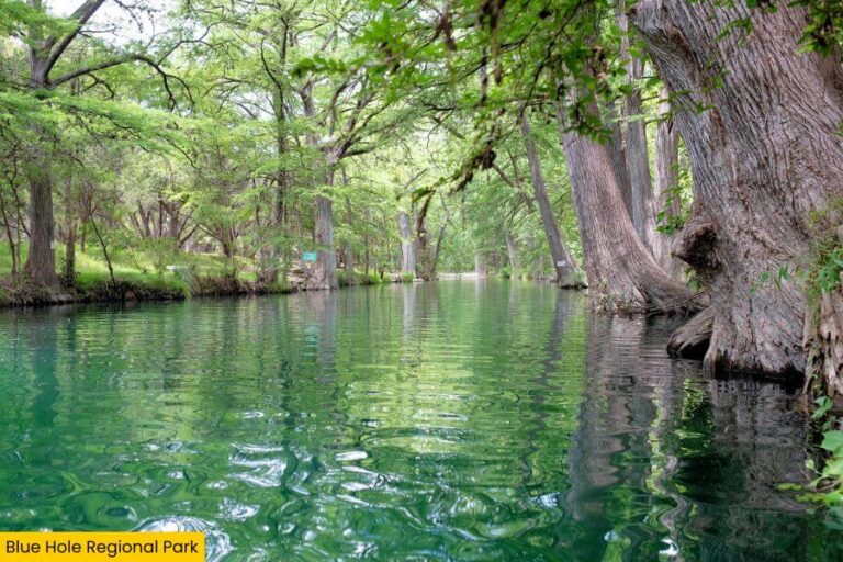 The Texas Hill Country Loop That Combines BBQ, Wildflowers, and Waterfalls