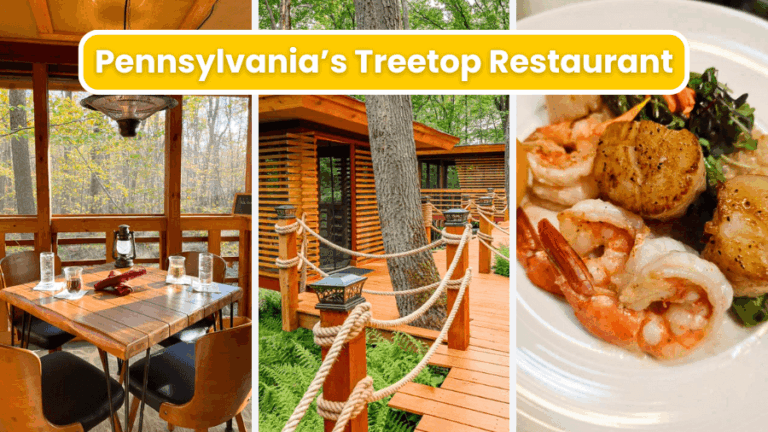 This Pennsylvania Restaurant Lets You Dine Among the Treetops