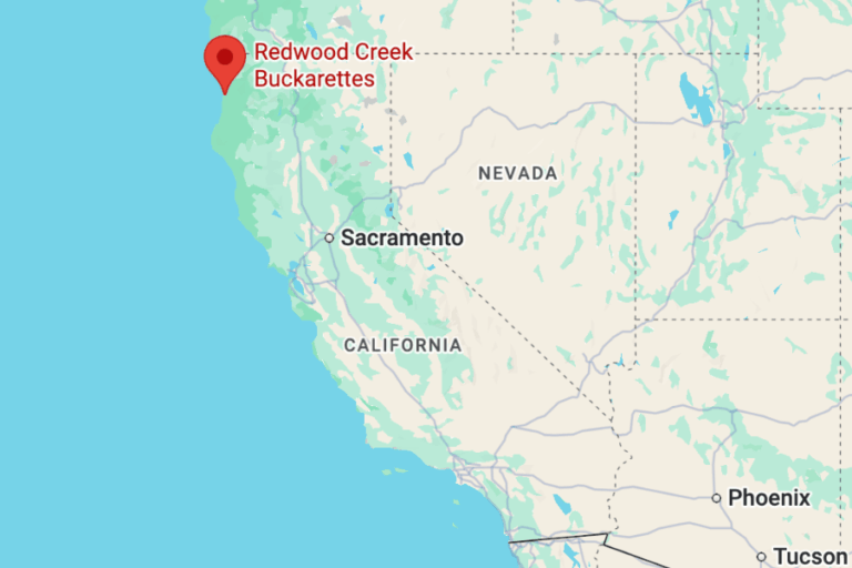 You Won’t Believe This Horseback Ride Through the California Redwoods