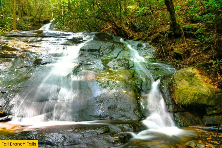 The Prettiest Waterfall Hikes in North Georgia Under 2 Miles