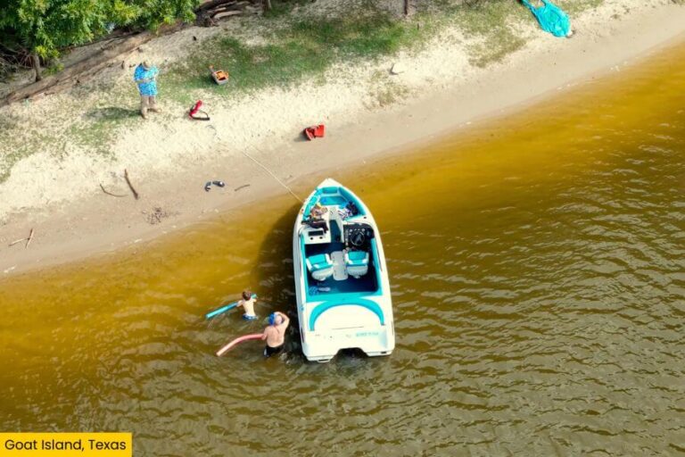 This Little Texas Island Is Full of Wild Goats — Yes, Really
