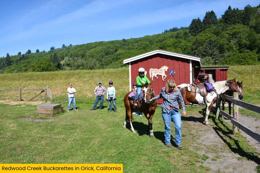You Won’t Believe This Horseback Ride Through the California Redwoods