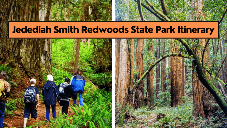 The Ultimate Jedediah Smith Redwoods State Park Itinerary